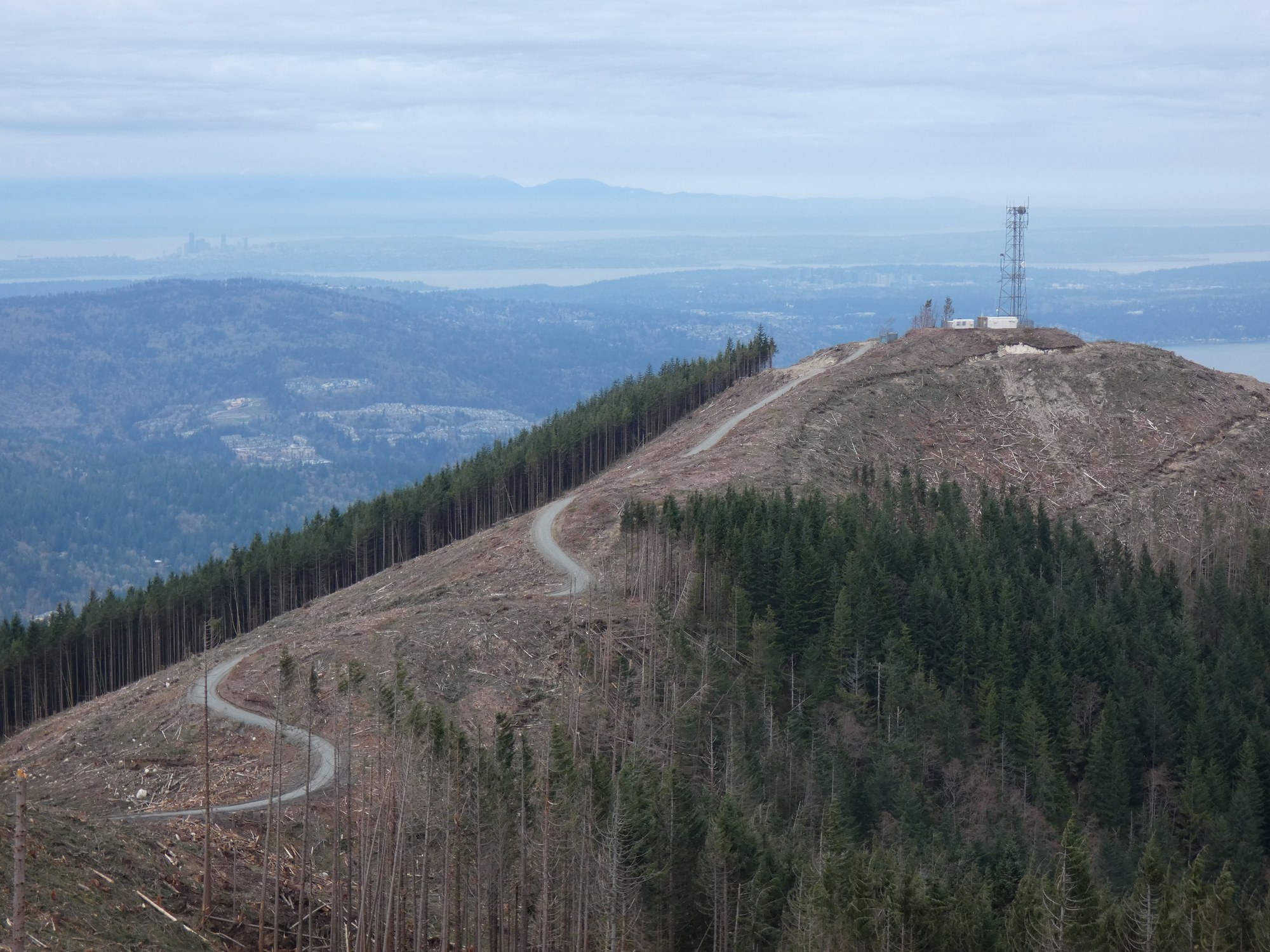 Day Hike - West Tiger Mountain 2 & 3 — The Mountaineers