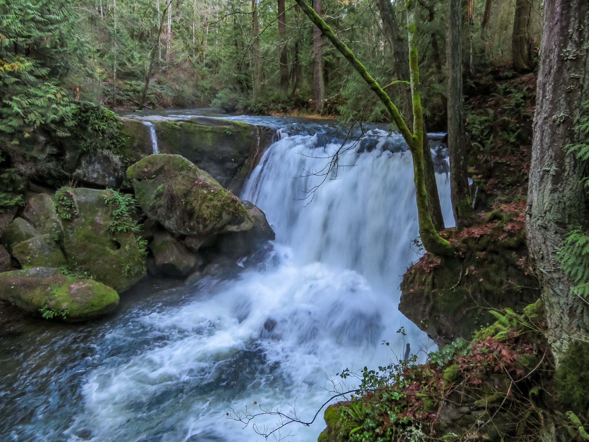 Day Hike - Whatcom Falls — The Mountaineers