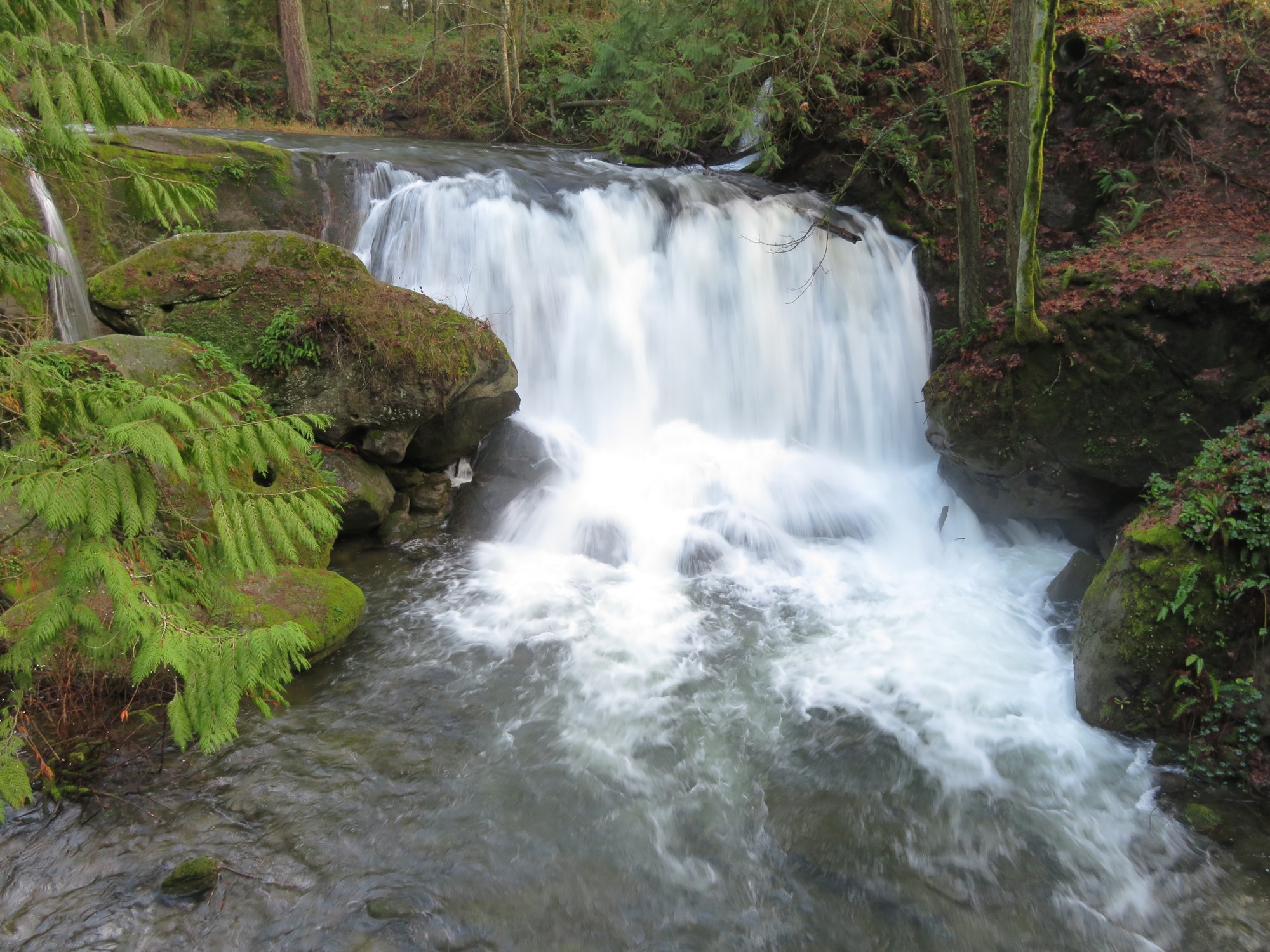 Day Hike - Whatcom Falls — The Mountaineers