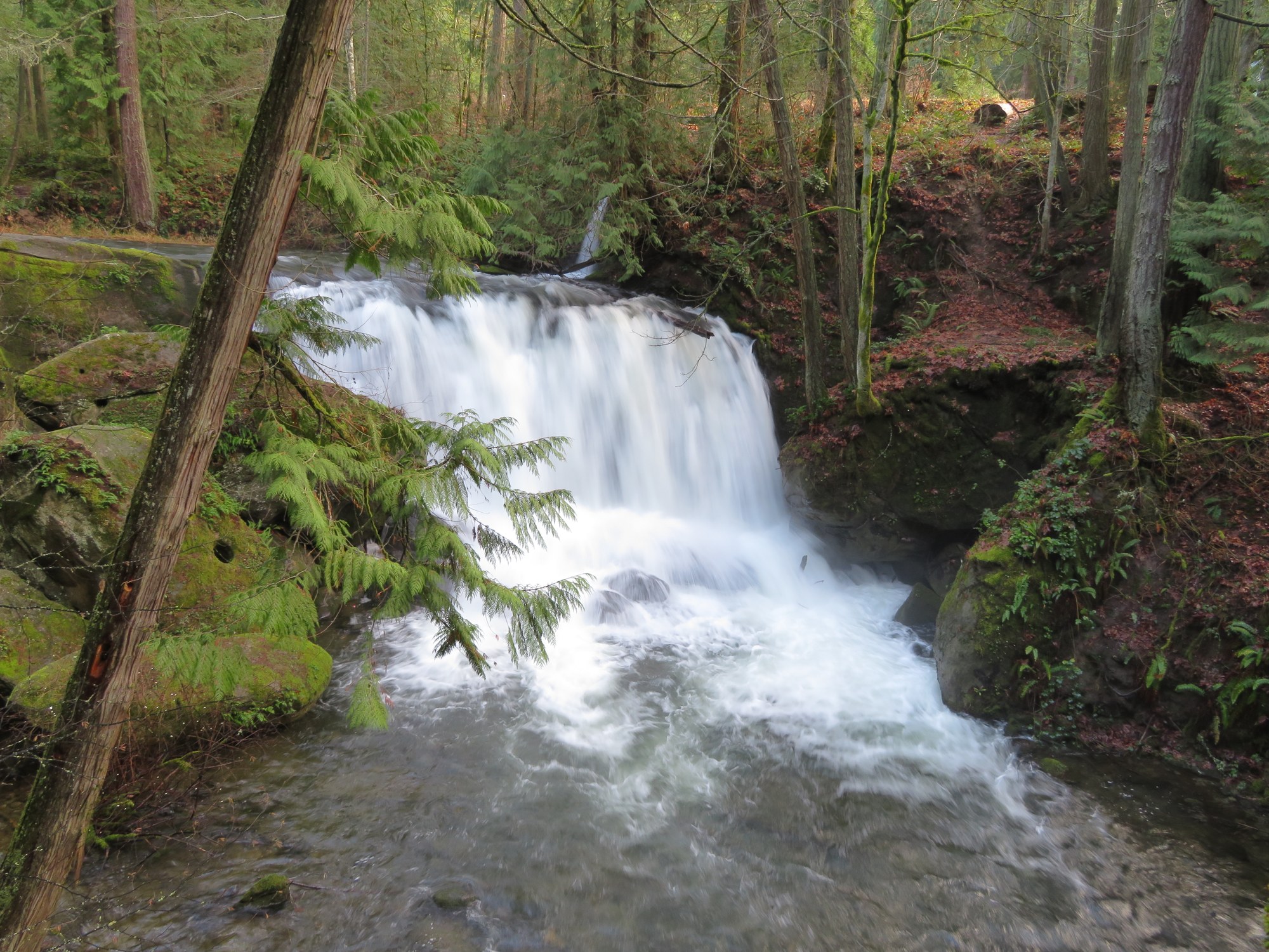 Day Hike - Whatcom Falls — The Mountaineers