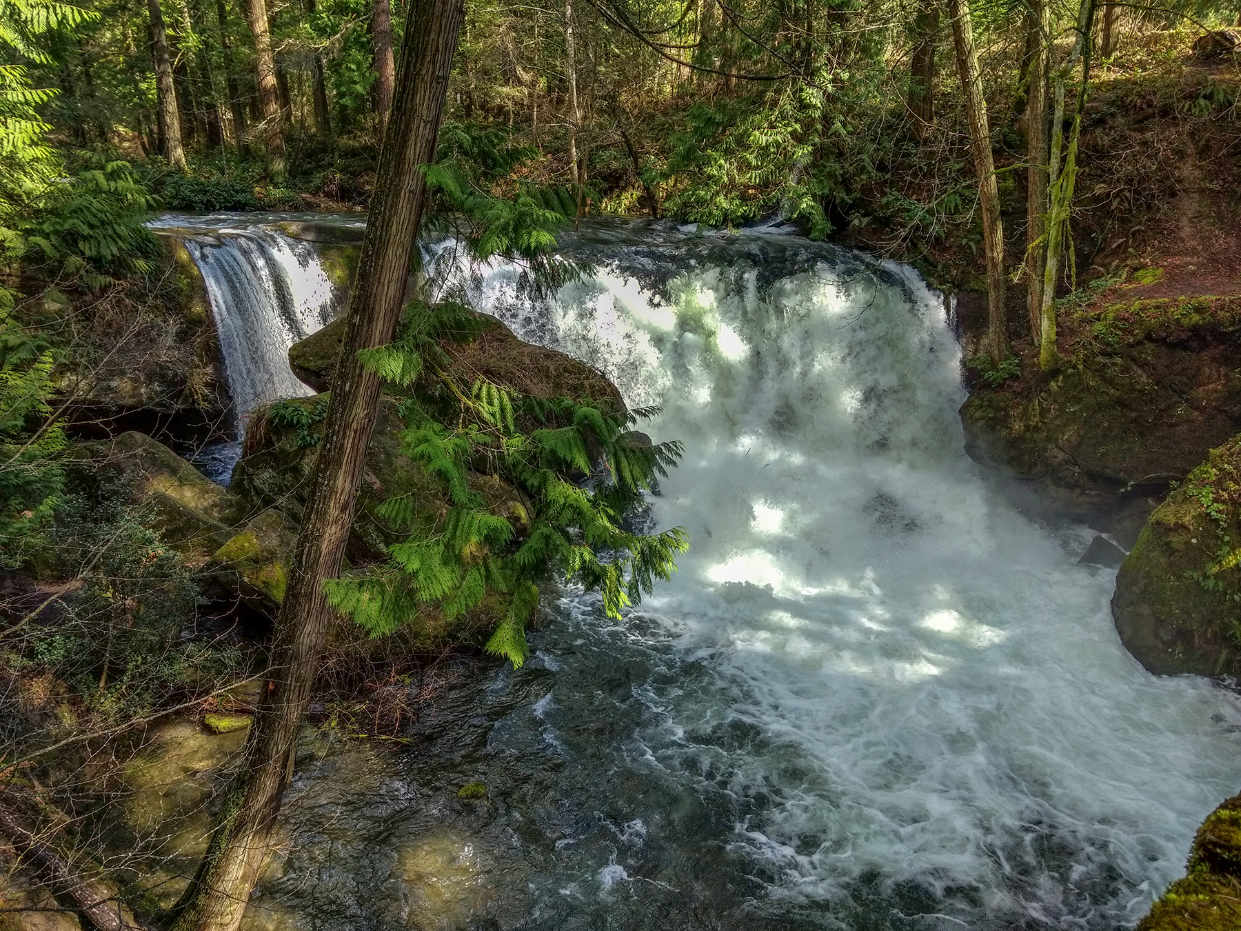 Day Hike - Whatcom Falls — The Mountaineers