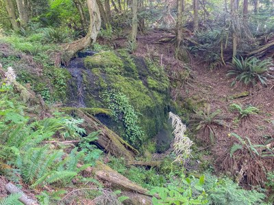 Day Hike - Wilderness Peak Loop — The Mountaineers
