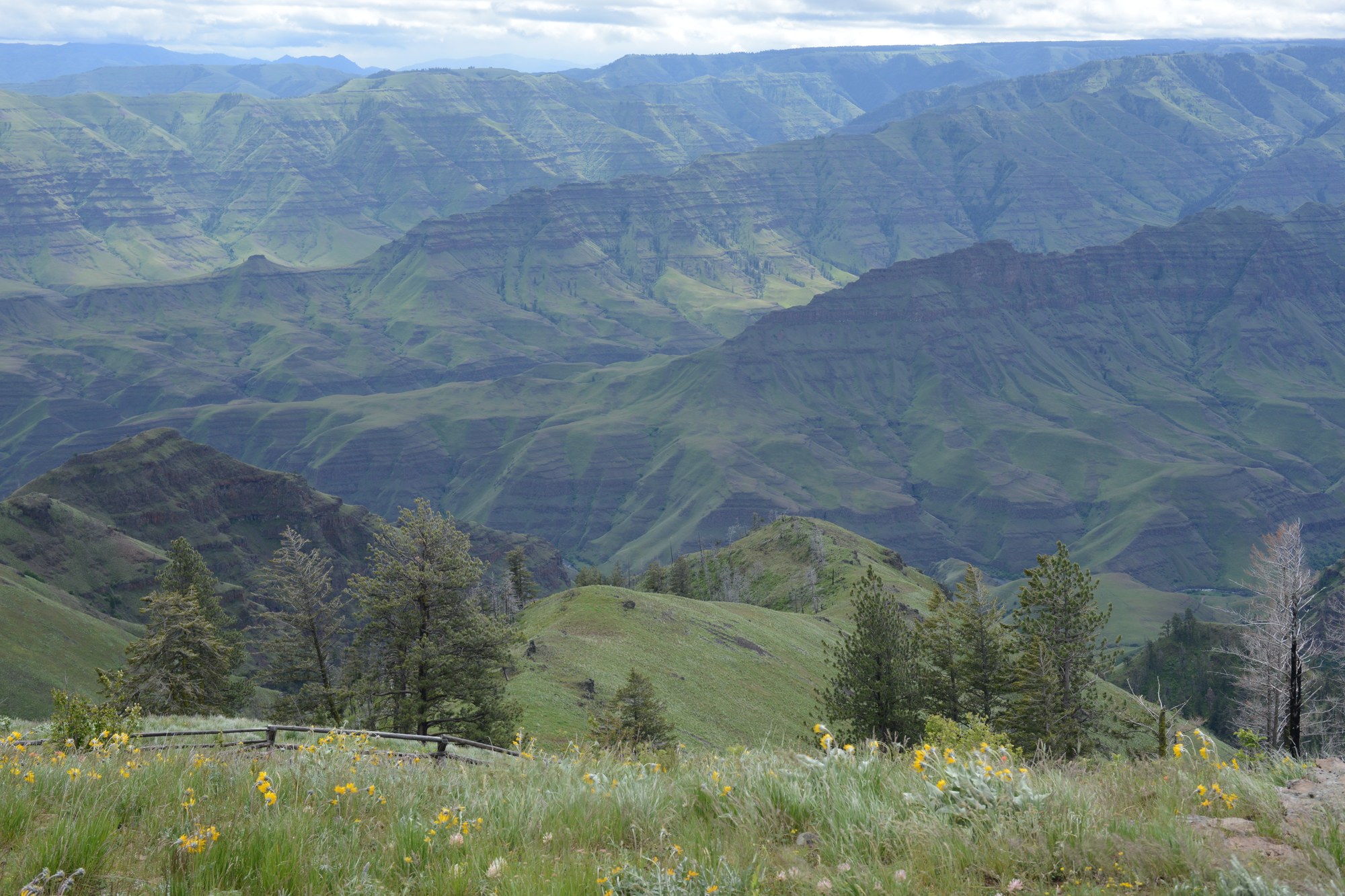 Day Hike - Zumwalt Prairie Preserve — The Mountaineers