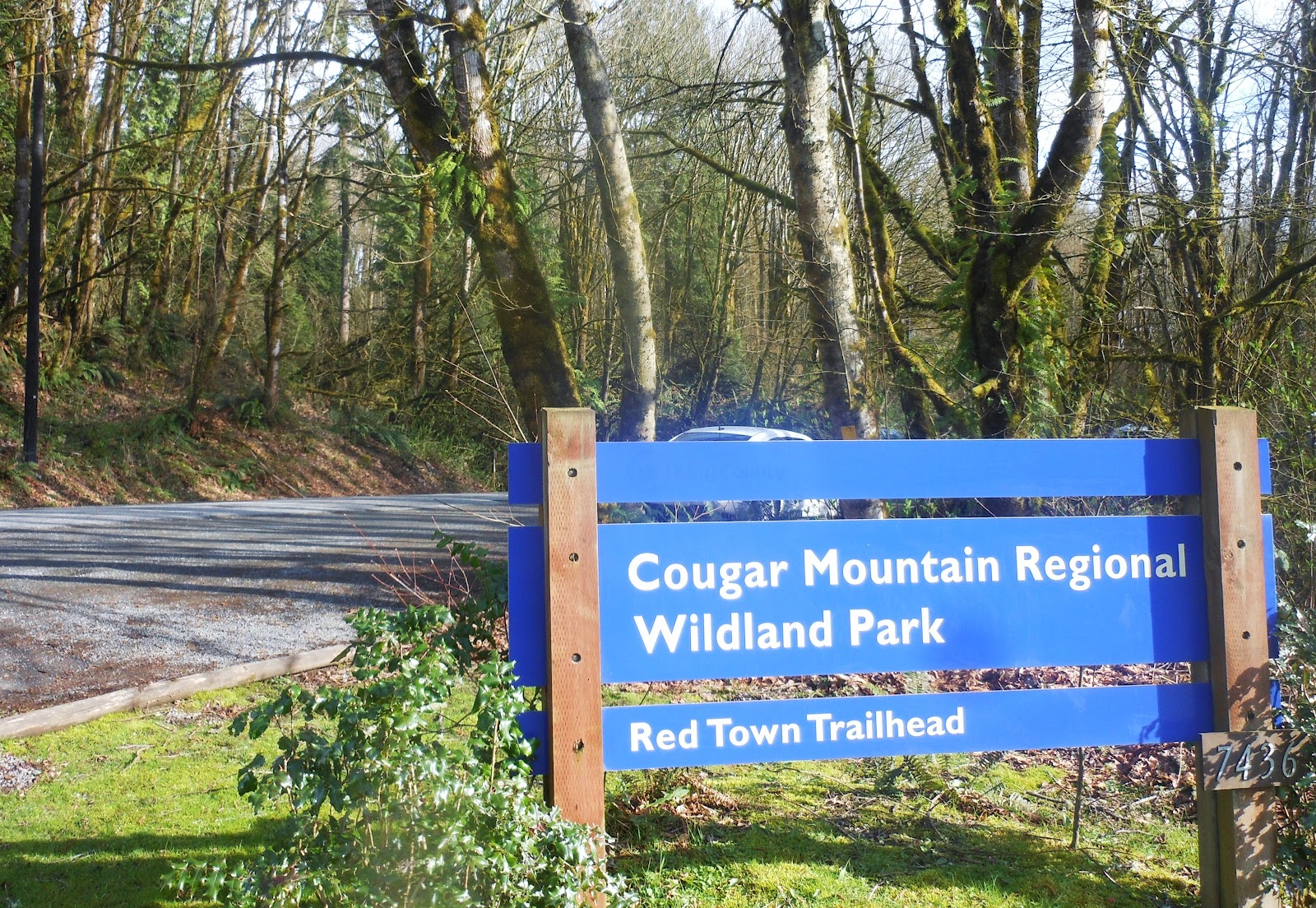 Frontcountry Trail Run - Cougar Mountain: Red Town Trailhead — The ...