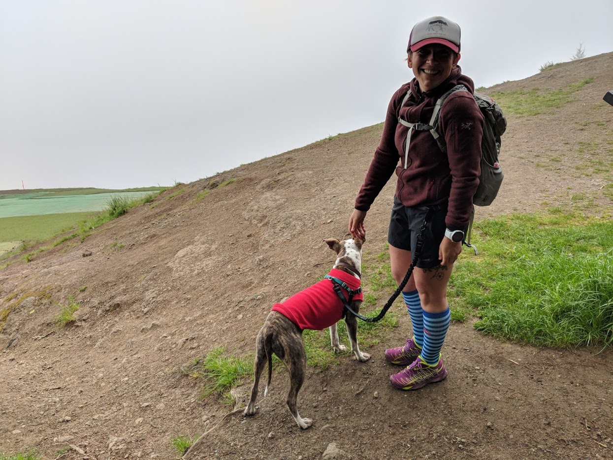 Frontcountry Trail Run - Poo Poo Point via Chirico Trail — The Mountaineers