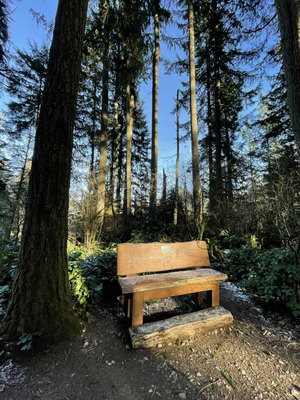Frontcountry Trail Run - Wilderness Peak Loop — The Mountaineers