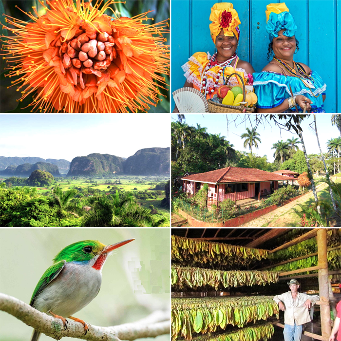 Global Adventure - Dayhike and Explore the National Parks, People, Food ...