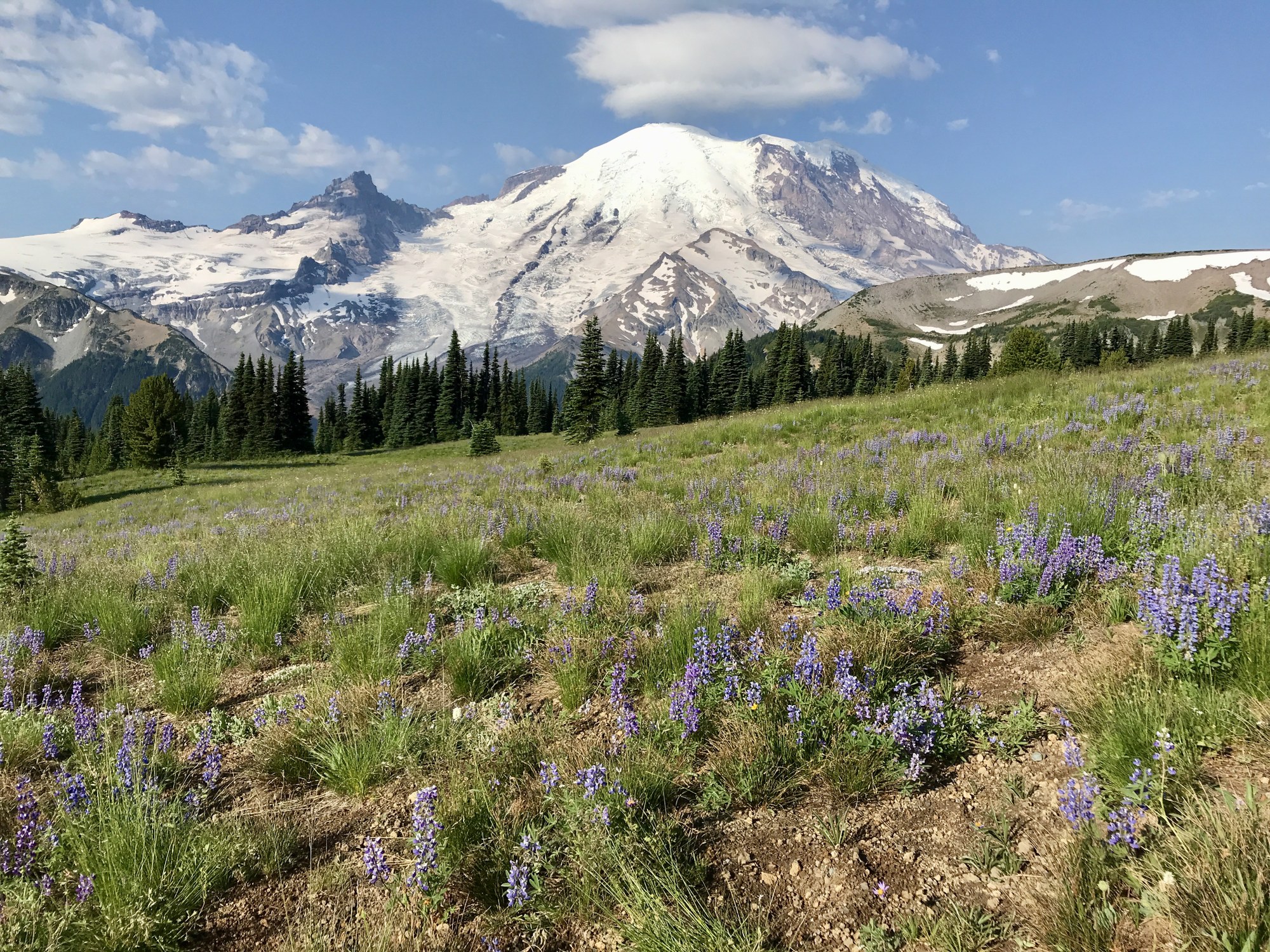 Naturalist Trip - Berkeley Park — The Mountaineers