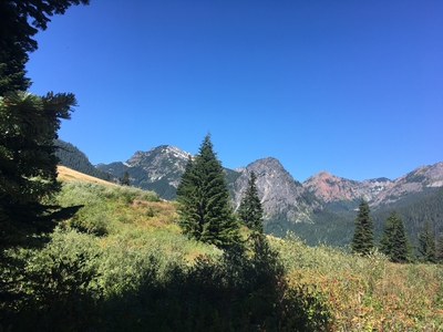 Naturalist Trip - Pacific Crest Trail: Snoqualmie Pass to Windy Pass ...
