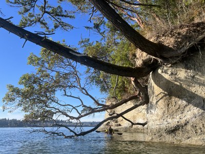 Sea Kayak - Hammersley Inlet — The Mountaineers