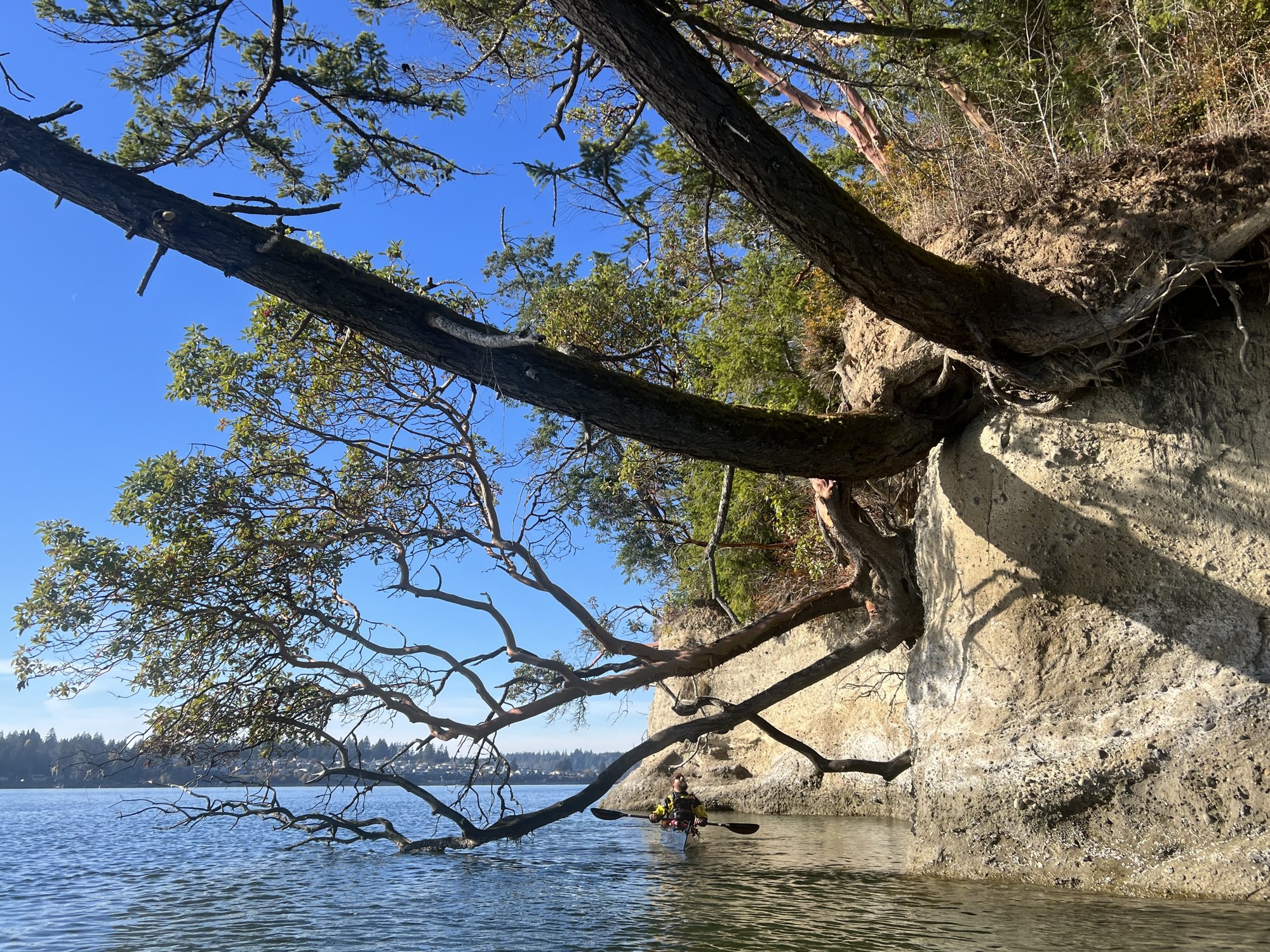 Sea Kayak - Hammersley Inlet — The Mountaineers