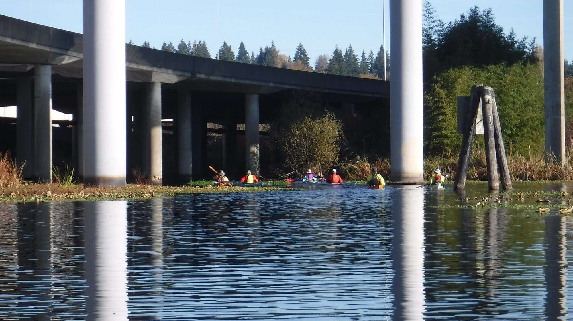 Sea Kayak - Lake Washington — The Mountaineers
