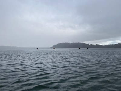 Sea Kayak - Totten Inlet — The Mountaineers