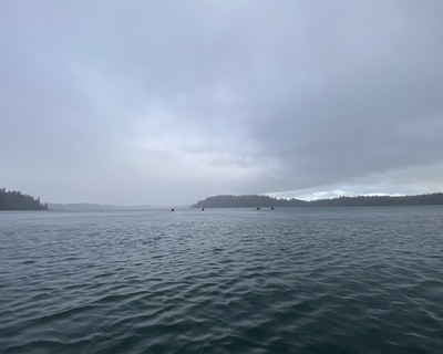 Sea Kayak - Totten Inlet — The Mountaineers