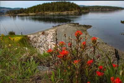 Sea Kayak - Yellow Island — The Mountaineers