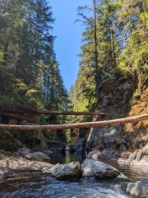 Stewardship Half Day - Mashel River — The Mountaineers