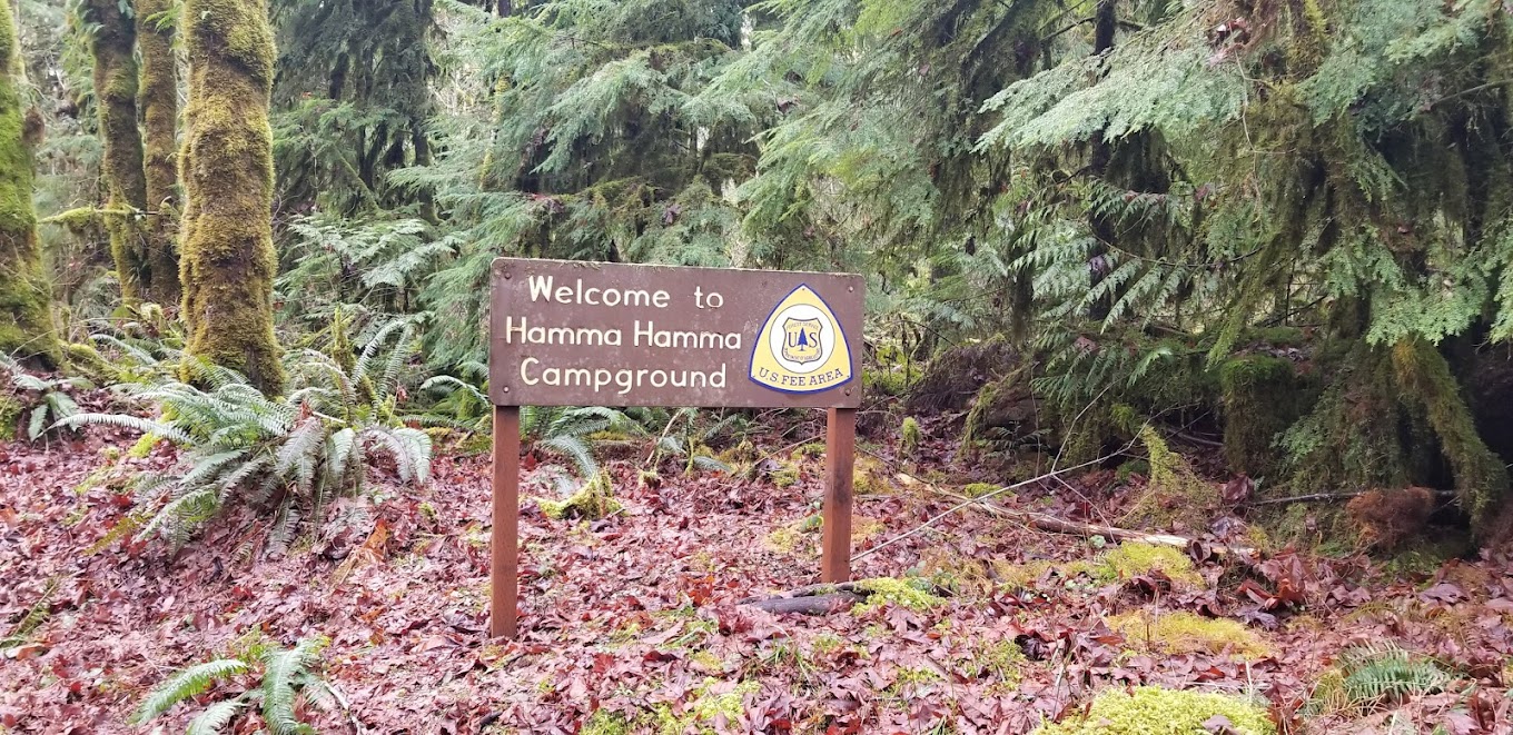 Stewardship - Hamma Hamma Campground — The Mountaineers