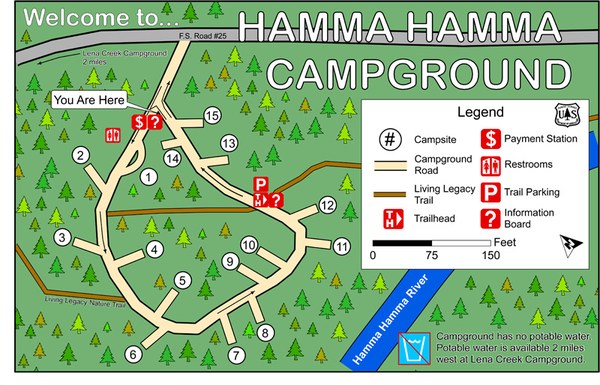 Stewardship - Hamma Hamma Campground — The Mountaineers