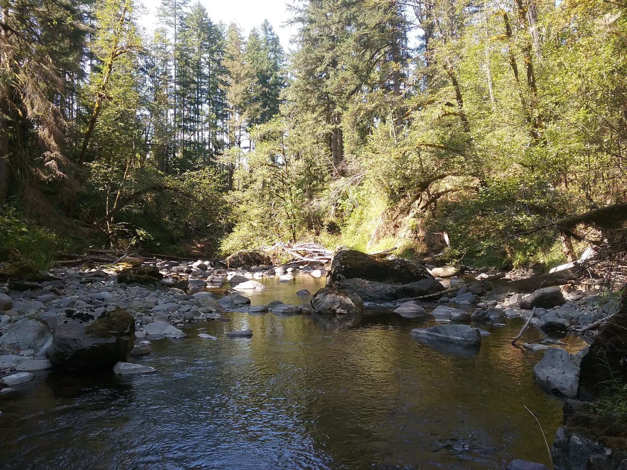 Stewardship - Middle Mashel — The Mountaineers