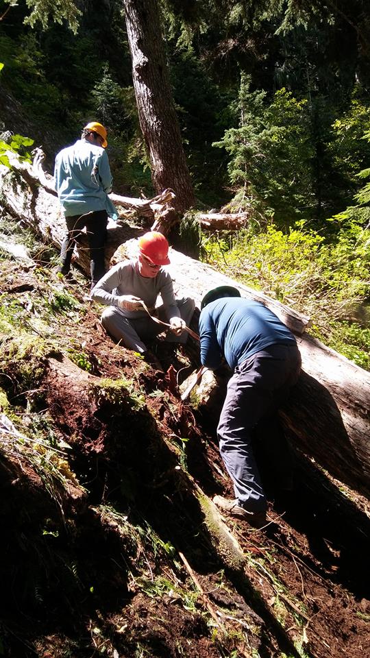 Stewardship - Mount Rose — The Mountaineers