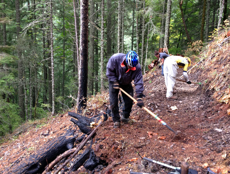 Stewardship - Stampede Pass — The Mountaineers