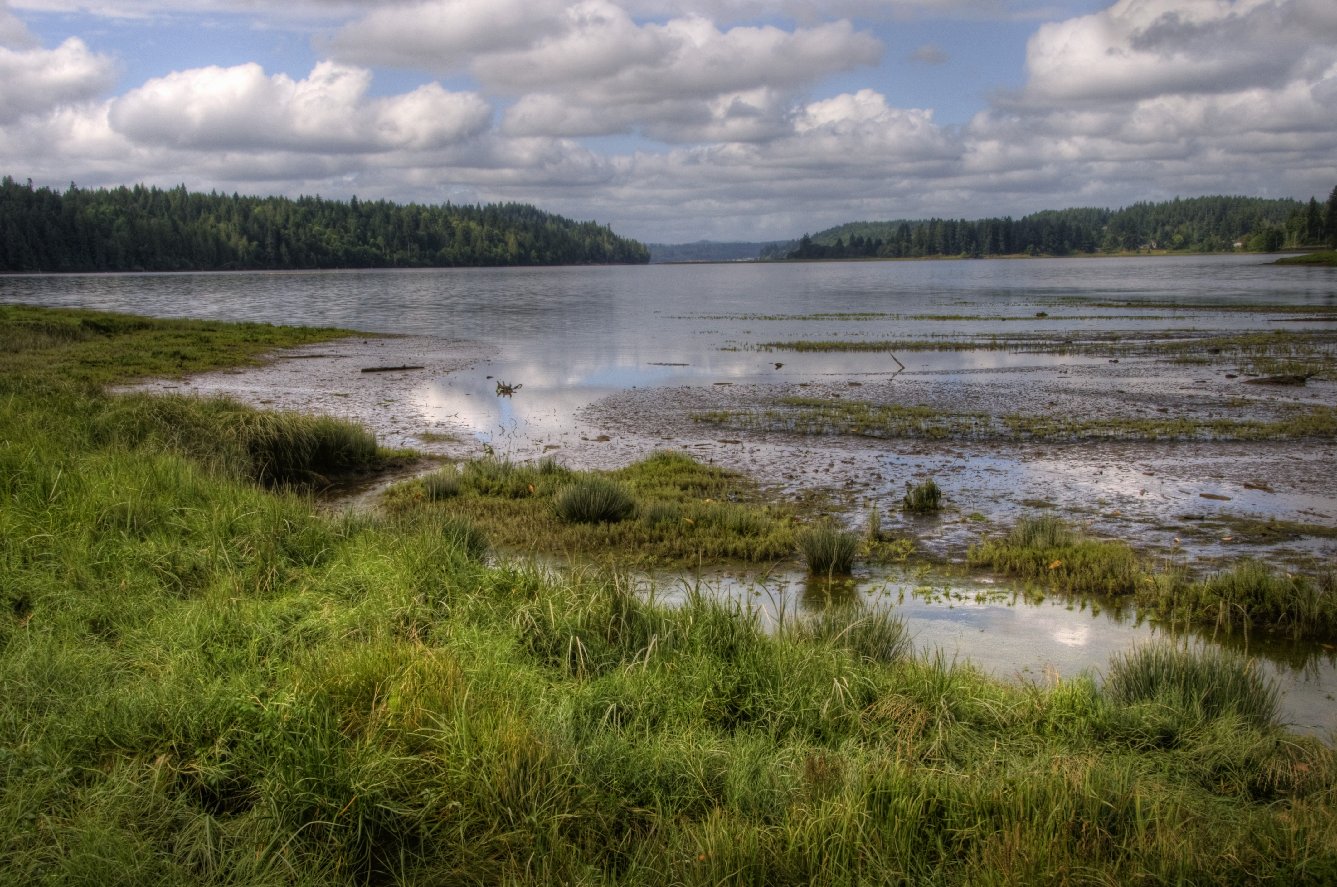 Stewardship - Twin Rivers Ranch Preserve (Shelton) — The Mountaineers