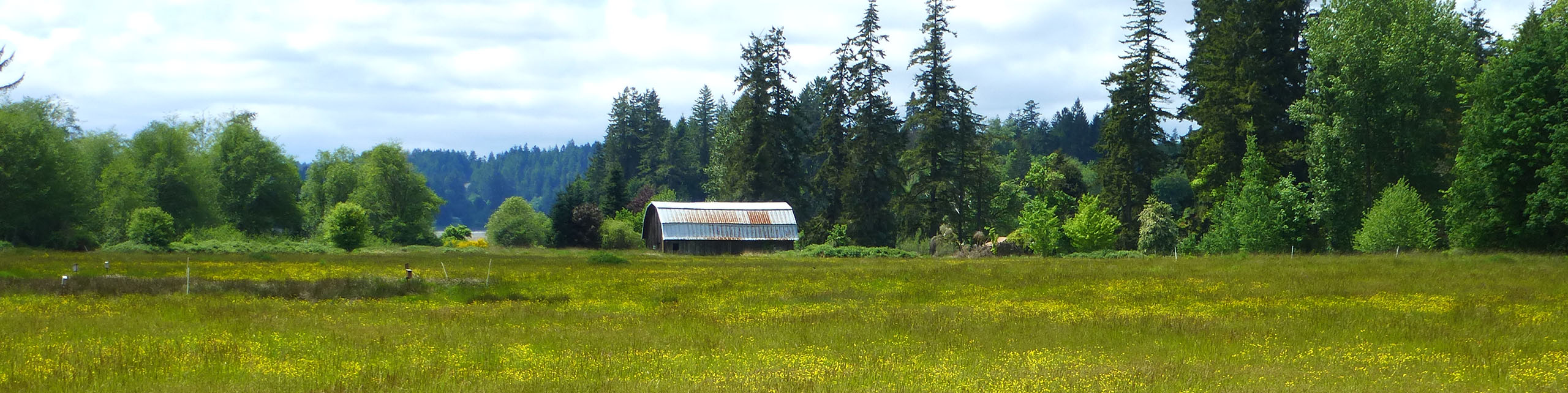 Stewardship - Twin Rivers Ranch Preserve (Shelton) — The Mountaineers