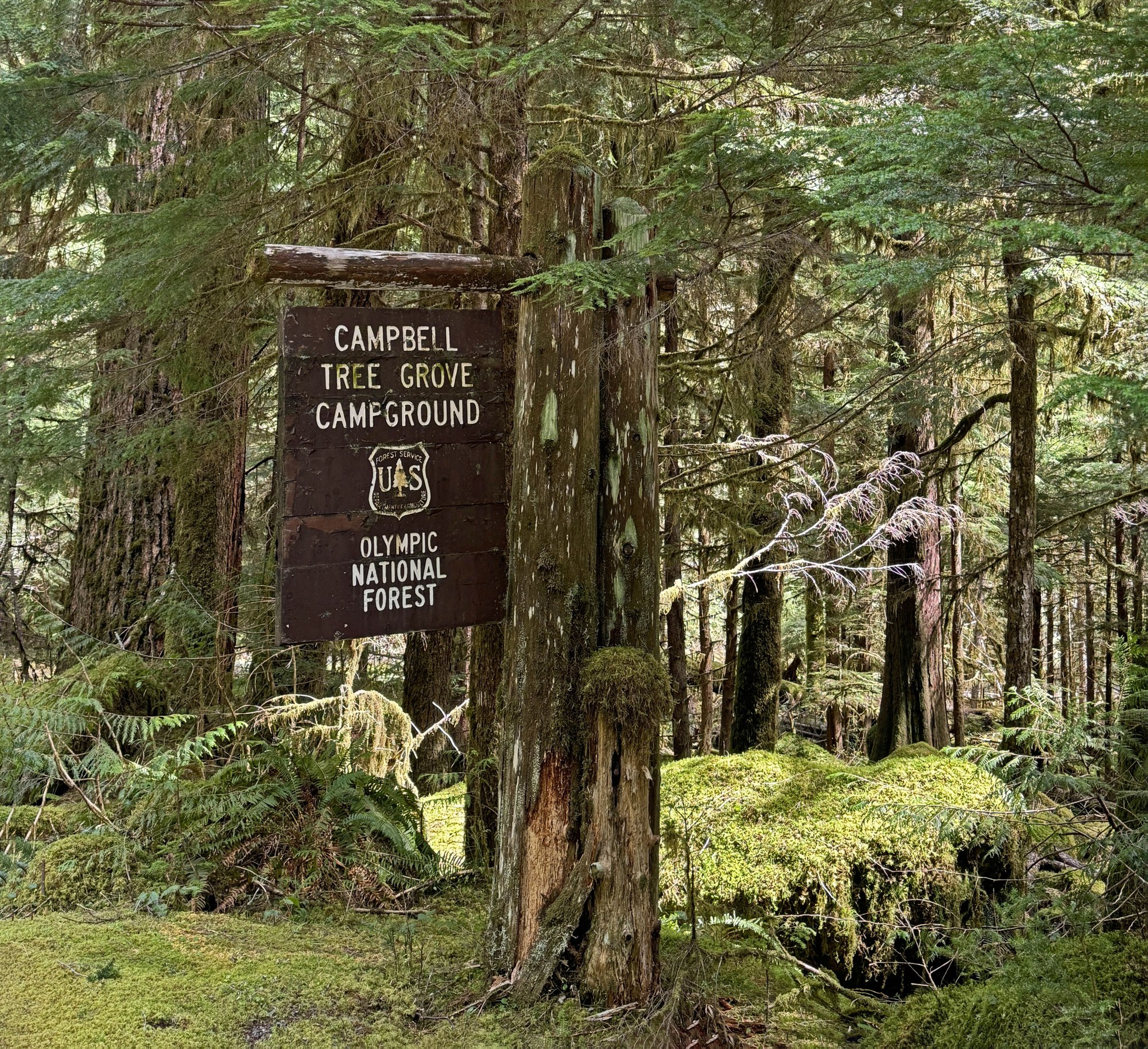 Stewardship - West Fork Humptulips River — The Mountaineers