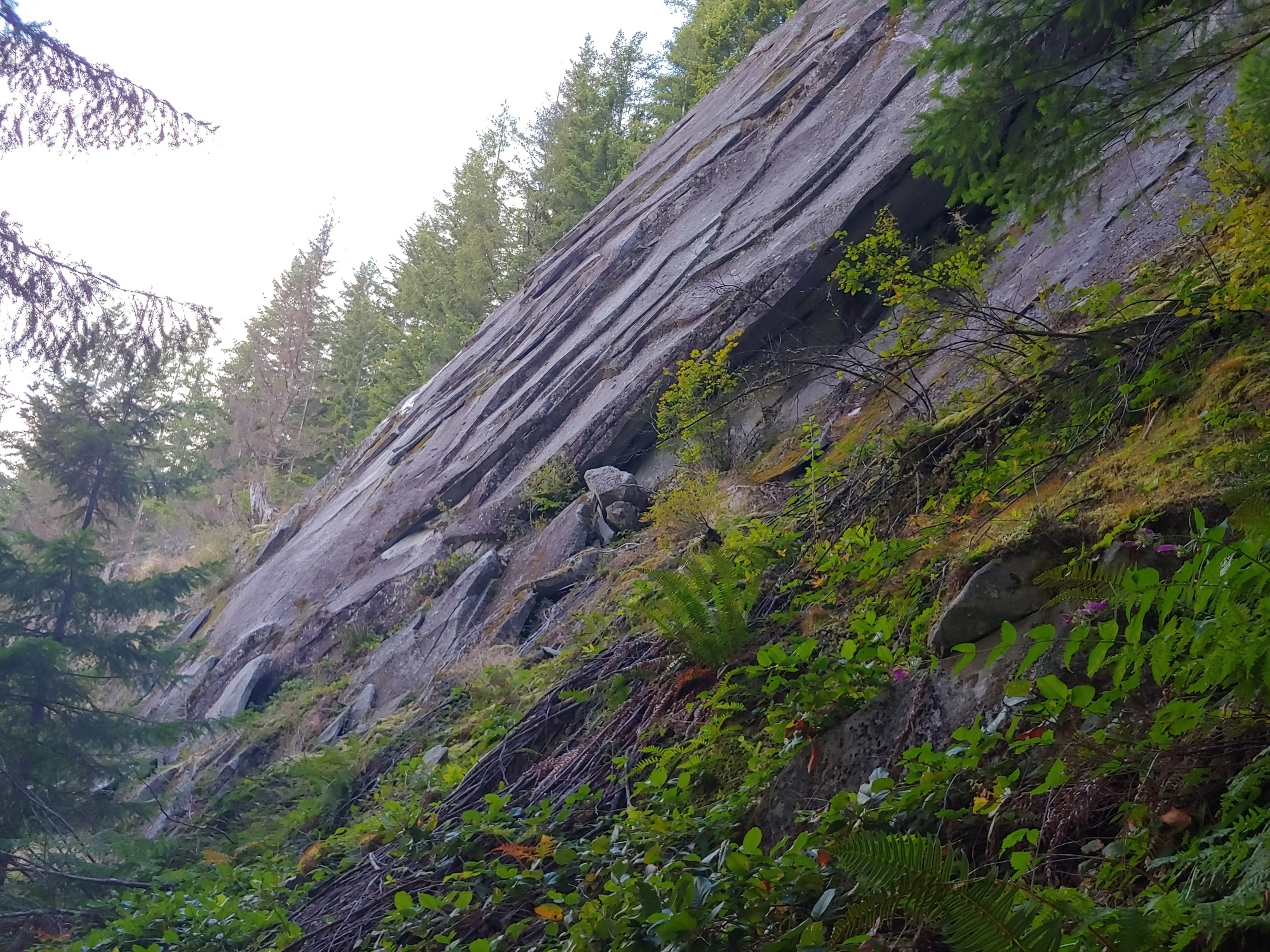 Top Rope Rock Climb - Ira Spring Trail — The Mountaineers