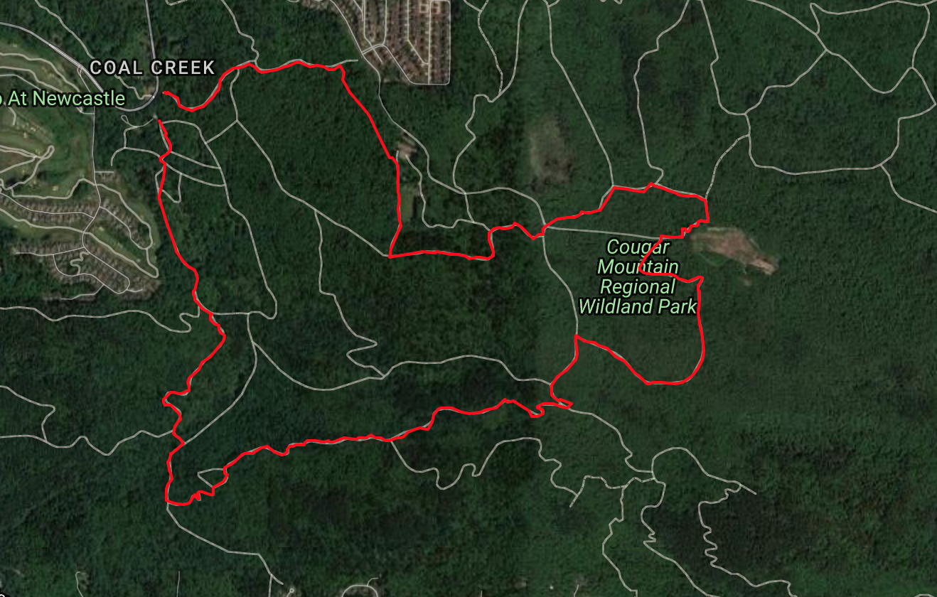 Frontcountry Trail Run - Cougar Mountain Loop — The Mountaineers