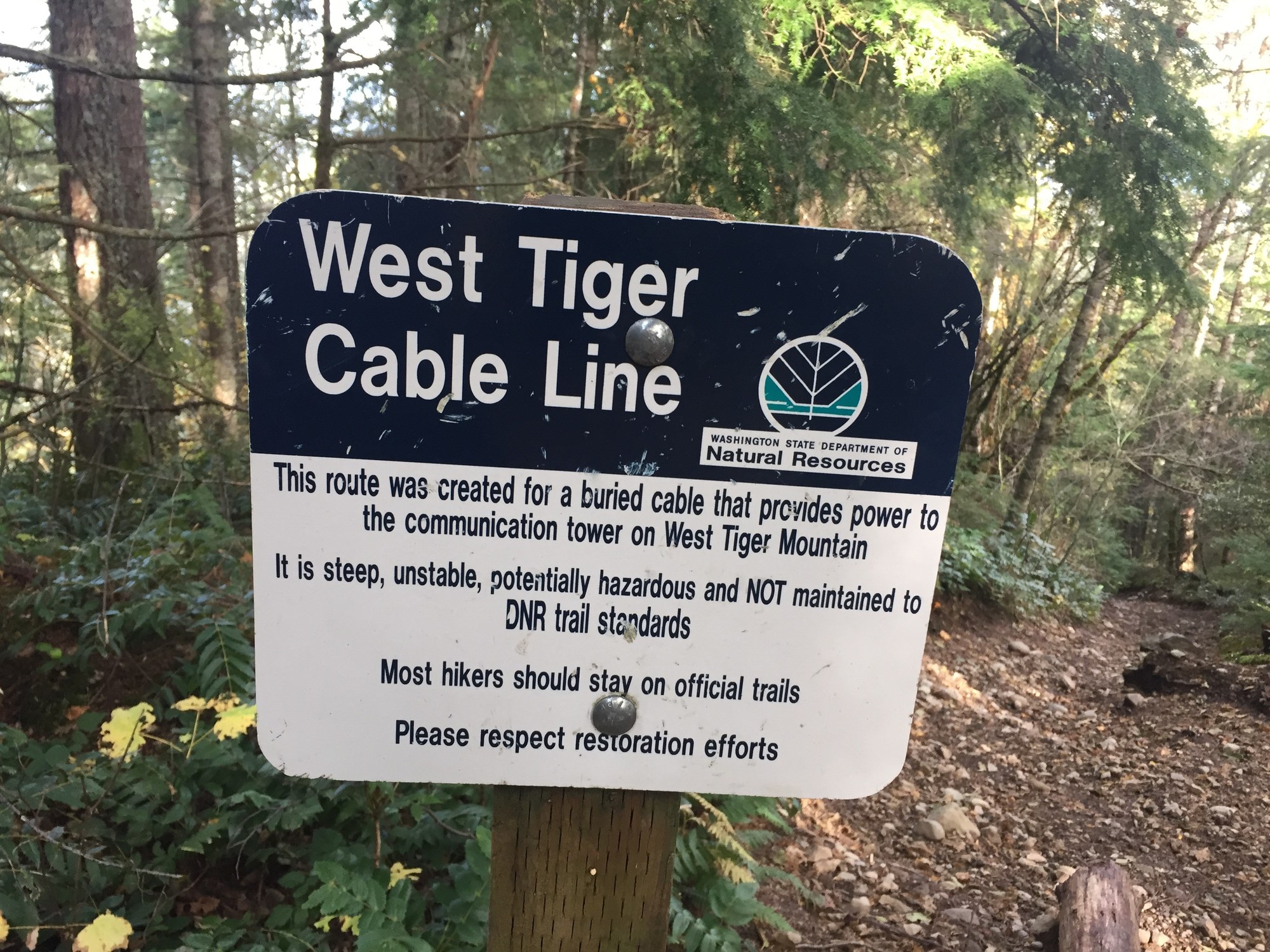 Frontcountry Trail Run - West Tiger Mountain No. 3 Cable Line — The ...