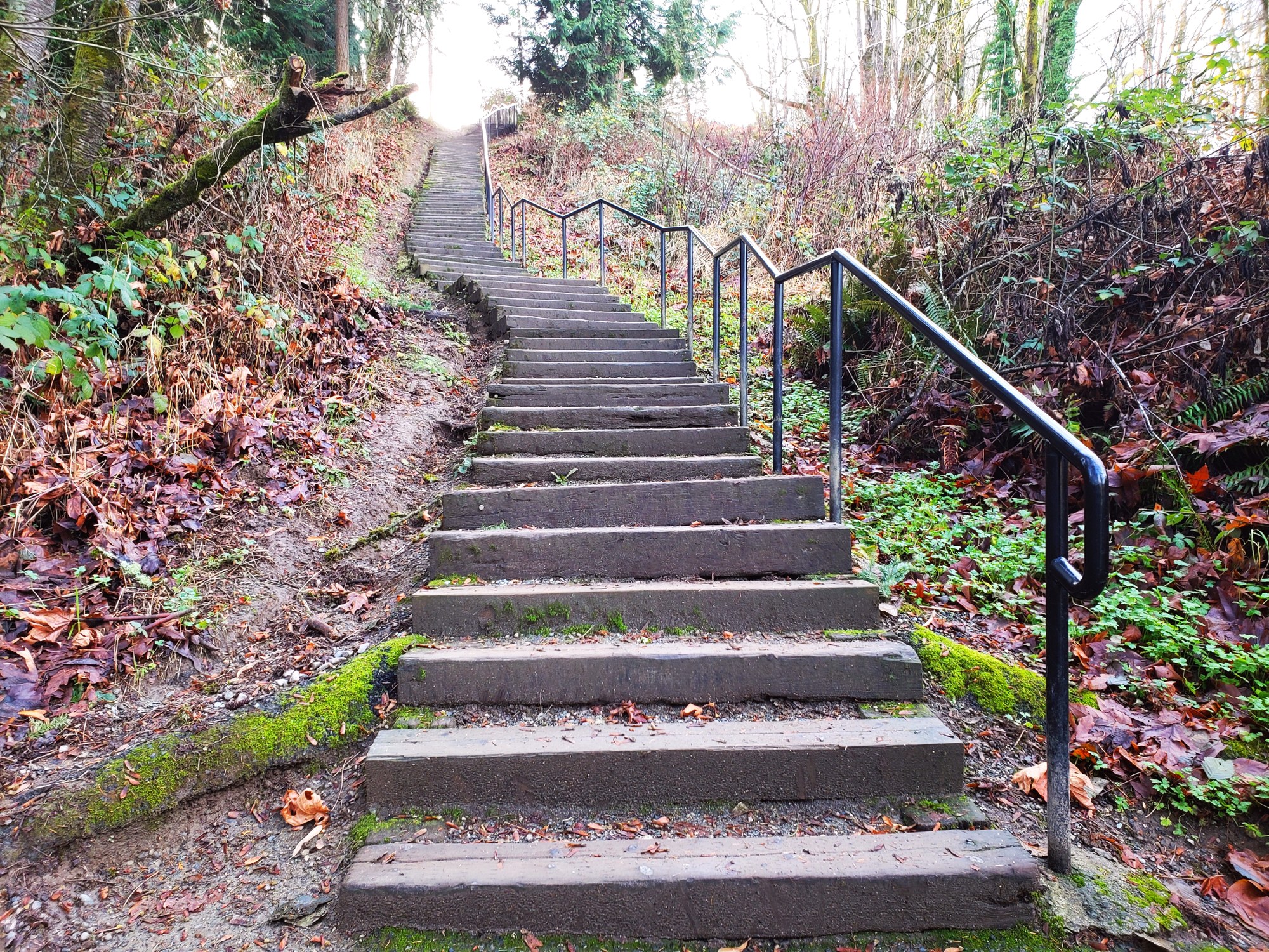 Urban Adventure - Forbes Creek Stairs — The Mountaineers