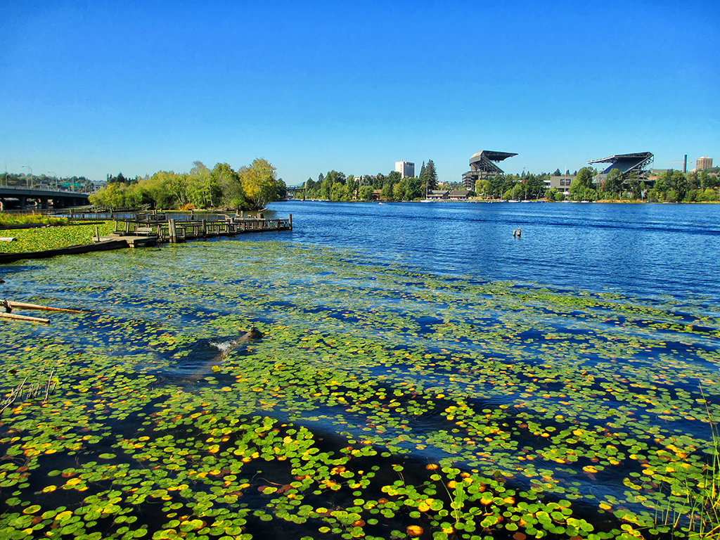 Urban Adventure - Foster & Marsh Islands — The Mountaineers