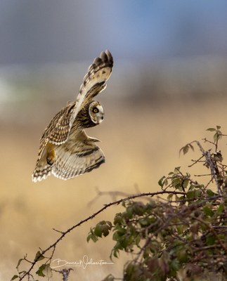 Urban Adventure - Samish Flats — The Mountaineers