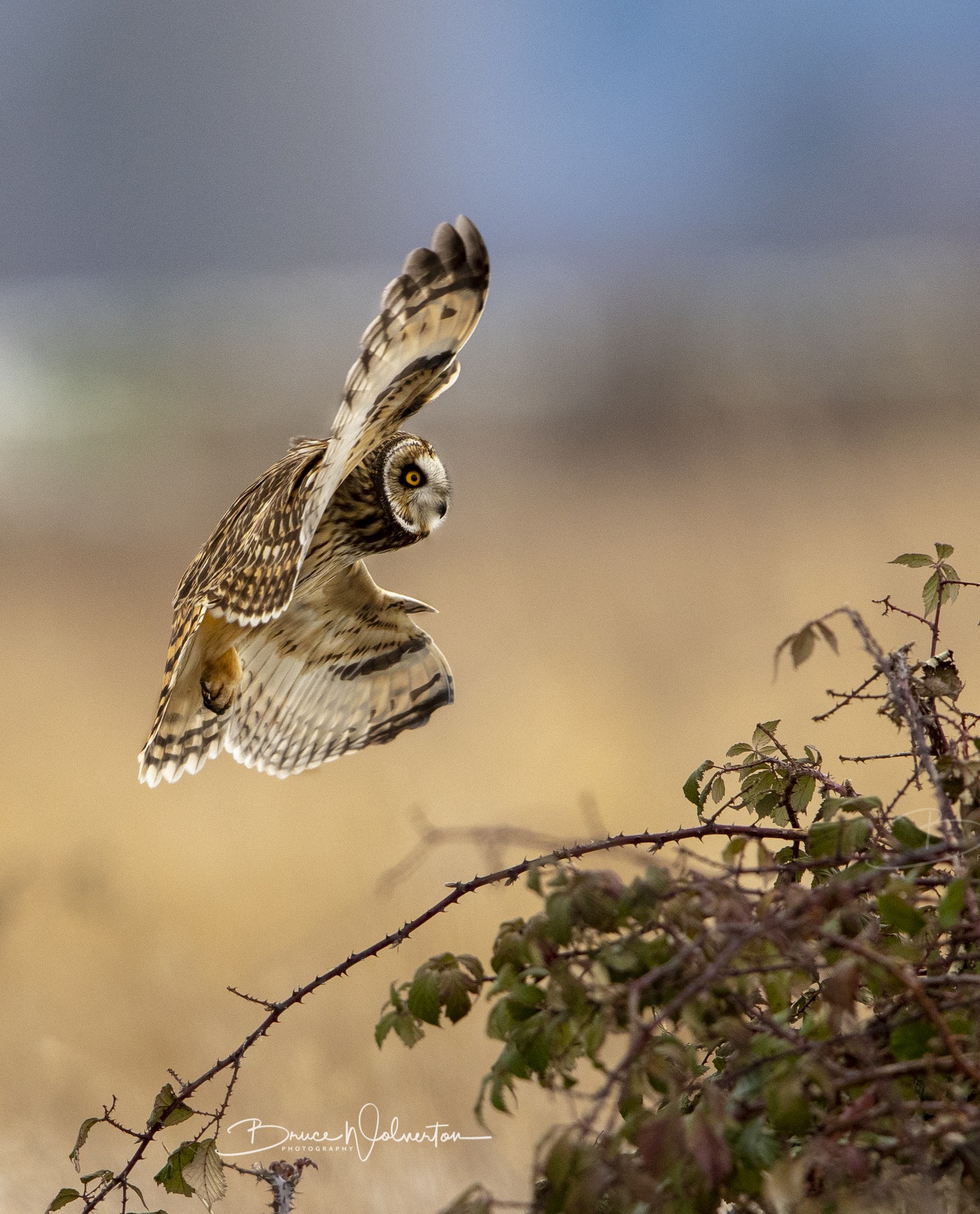 Urban Adventure - Samish Flats — The Mountaineers