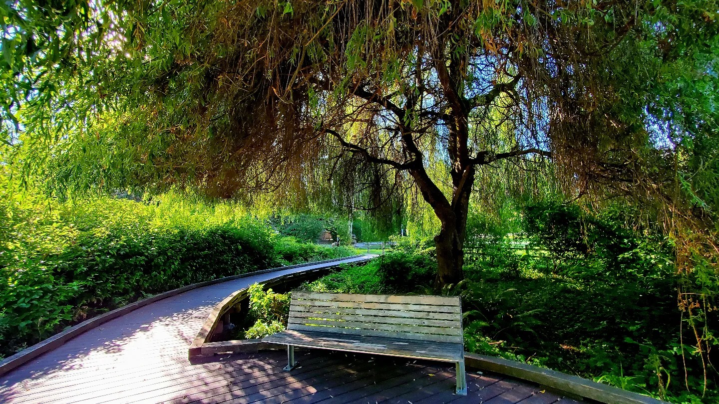 Urban Walk - Hamlin Park — The Mountaineers