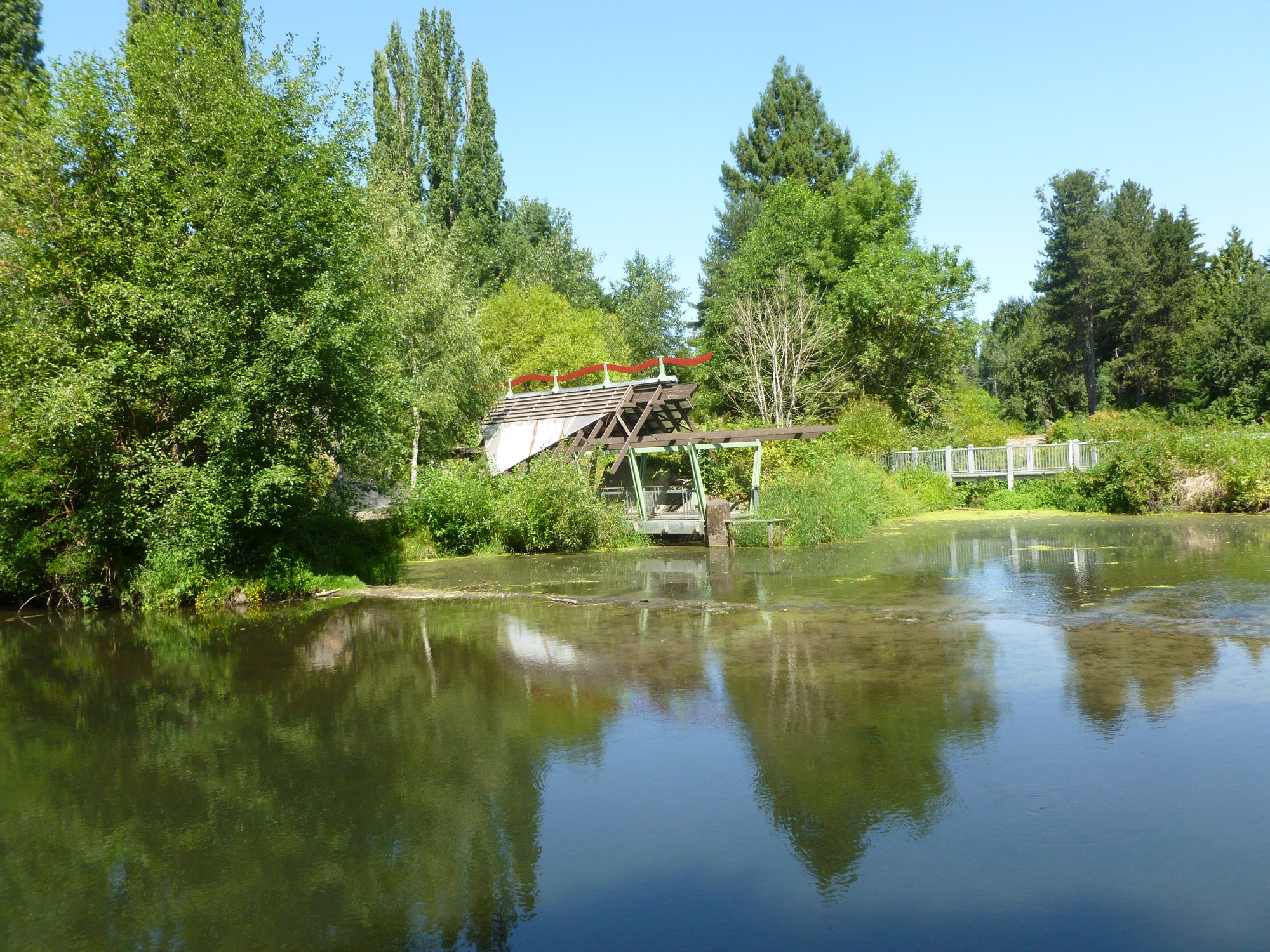Urban Walk - Matthews Beach and Thornton Creek — The Mountaineers