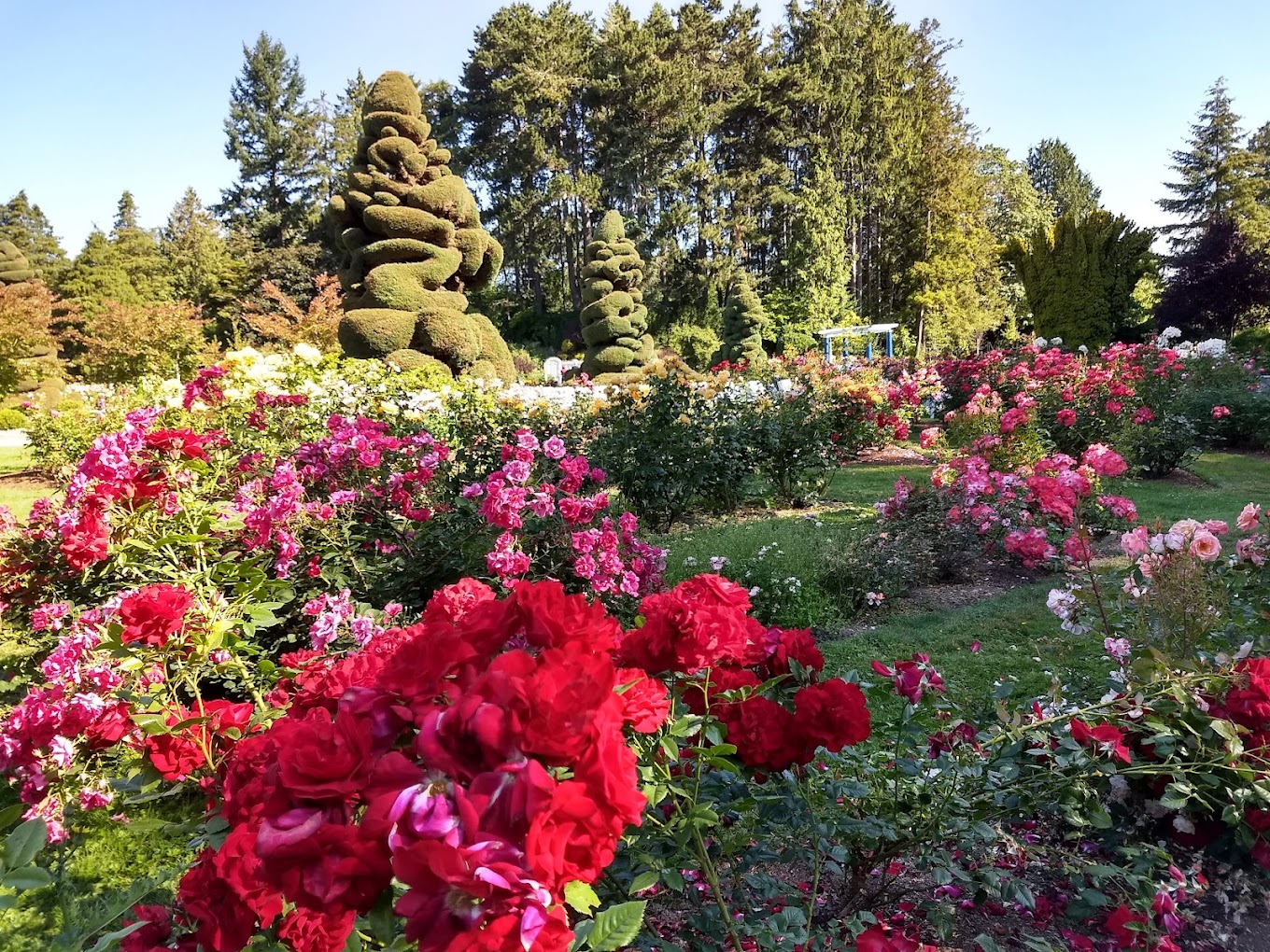 Urban Walk - Phinney Ridge, Seattle — The Mountaineers