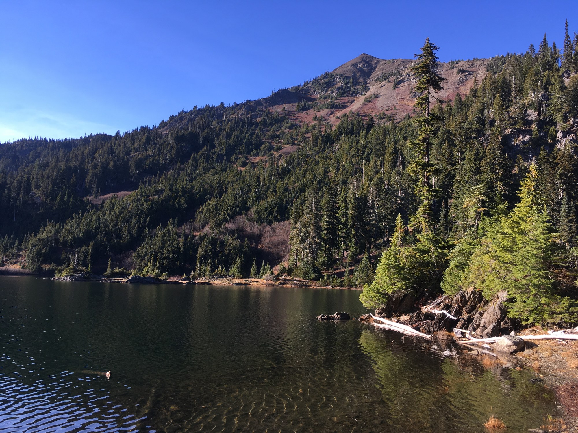 Winter Scramble - Upper Lena Lake — The Mountaineers