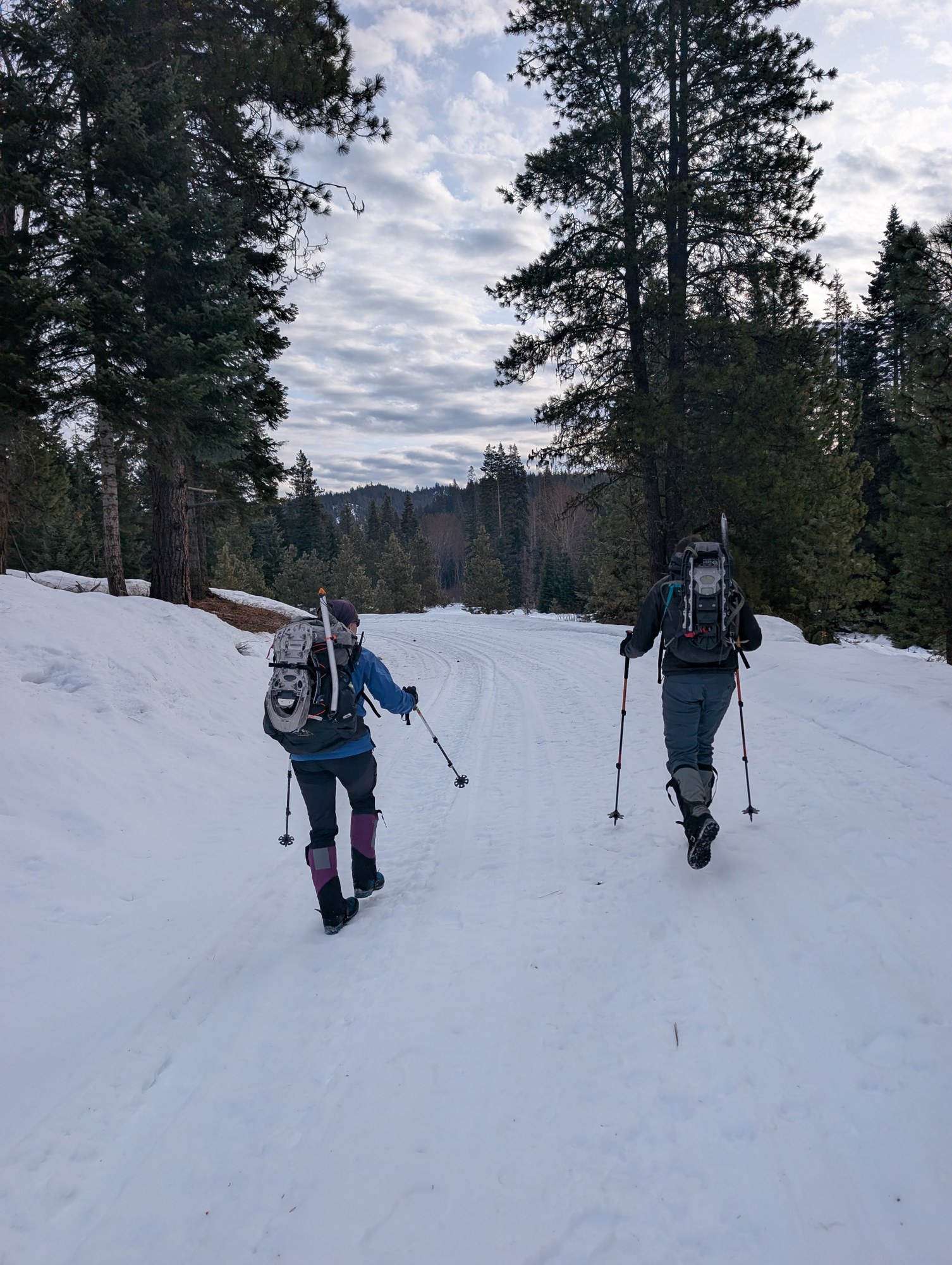 PXL_20250302_162952106.jpg — The Mountaineers