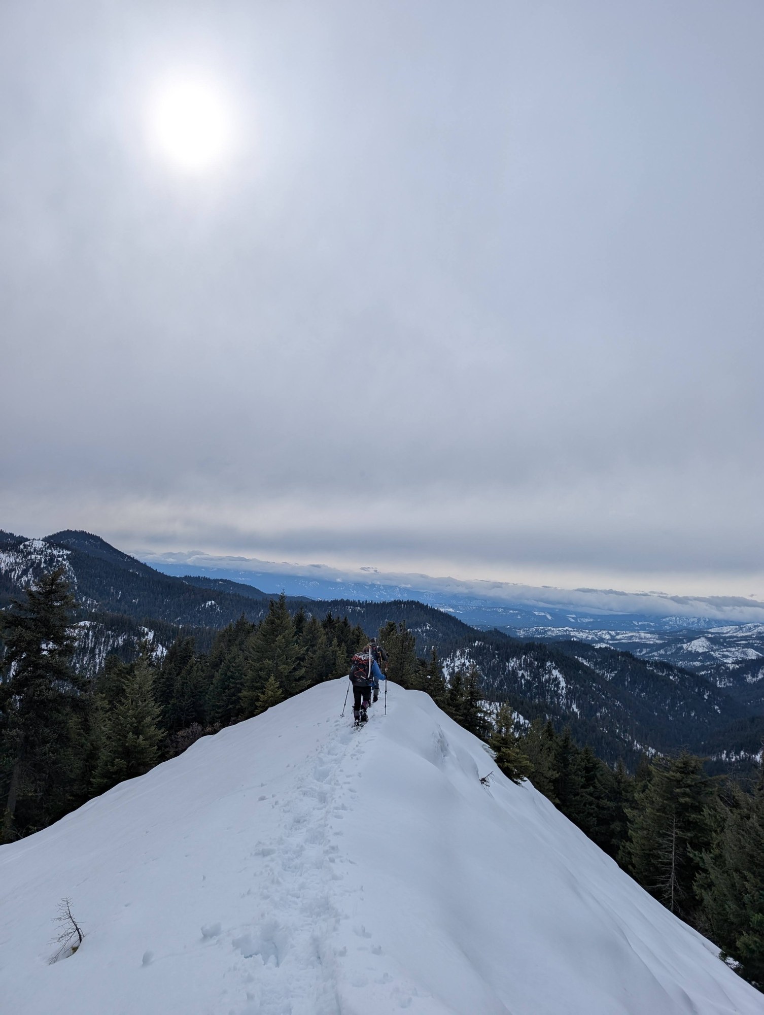 PXL_20250302_215428295.jpg — The Mountaineers