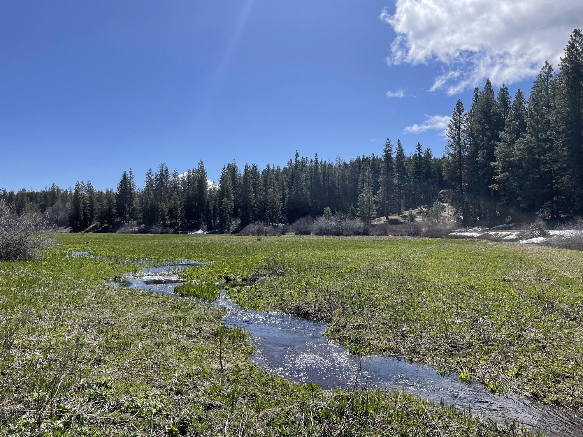 Camas Meadows — The Mountaineers
