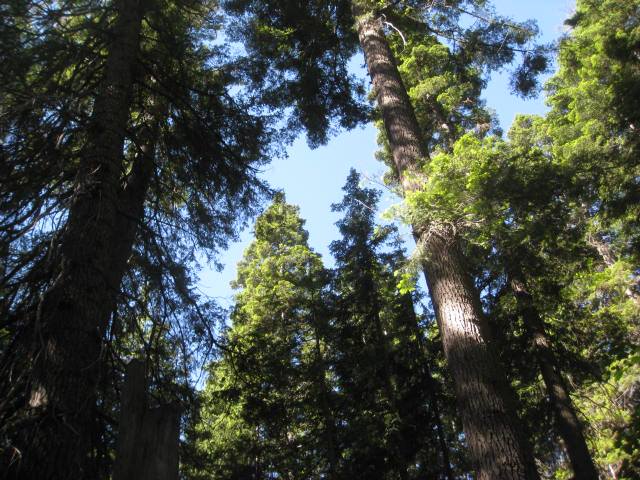 Camp Long — The Mountaineers