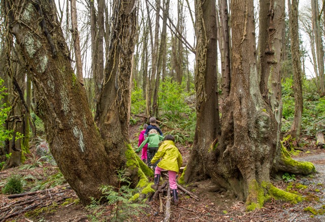 Cheasty Greenspace — The Mountaineers