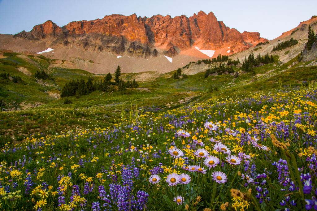Cispus Pass — The Mountaineers