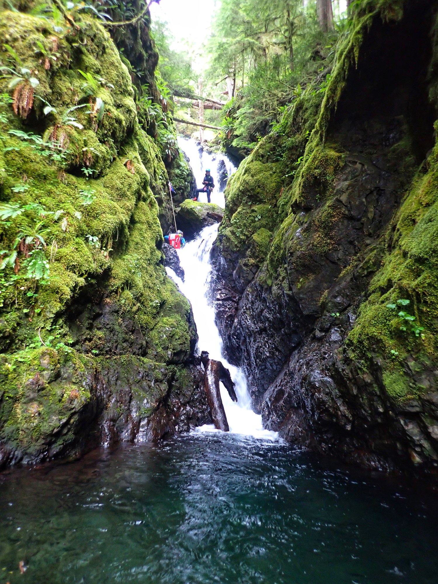 Clark Creek — The Mountaineers