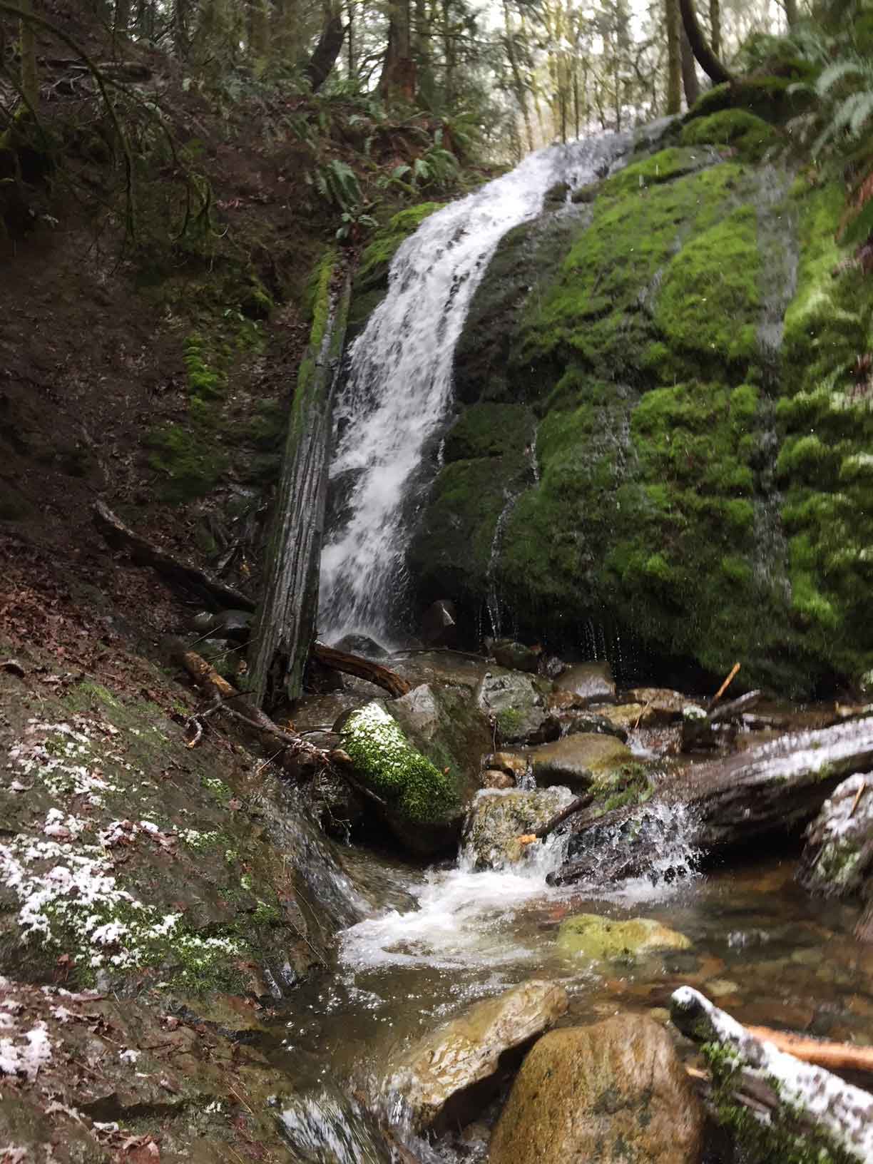 Cougar Mountain: Red Town Trailhead — The Mountaineers
