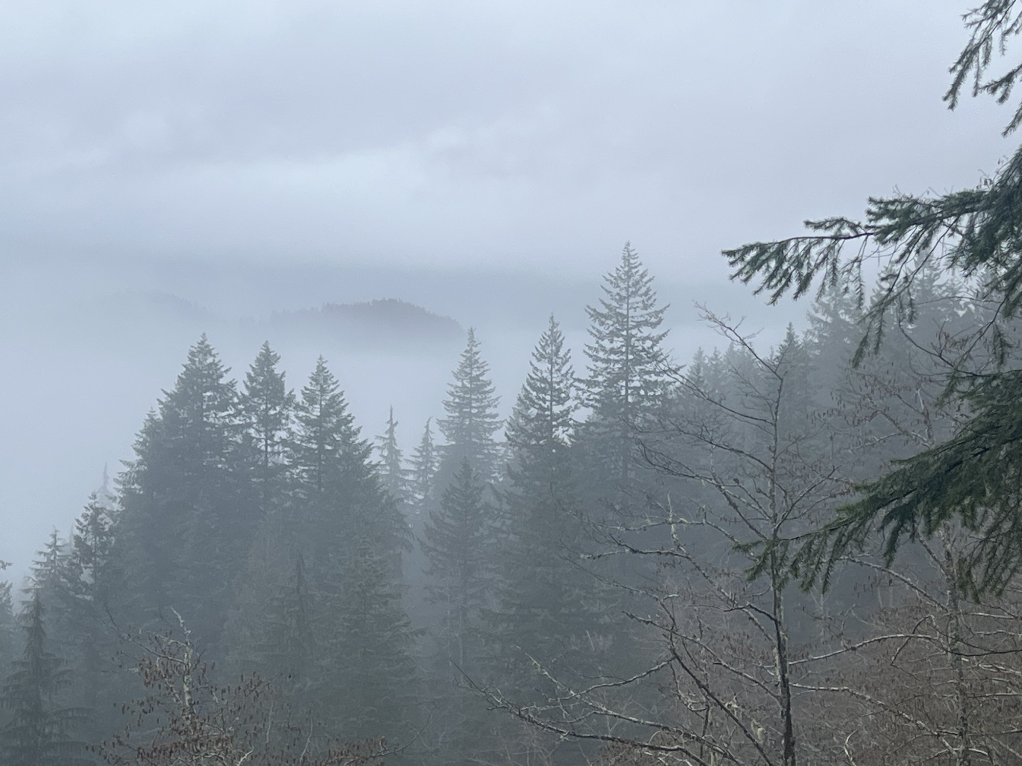 IMG_0001.jpeg — The Mountaineers