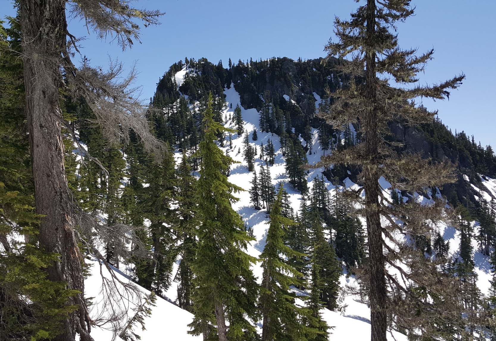 Hemlock Peak — The Mountaineers