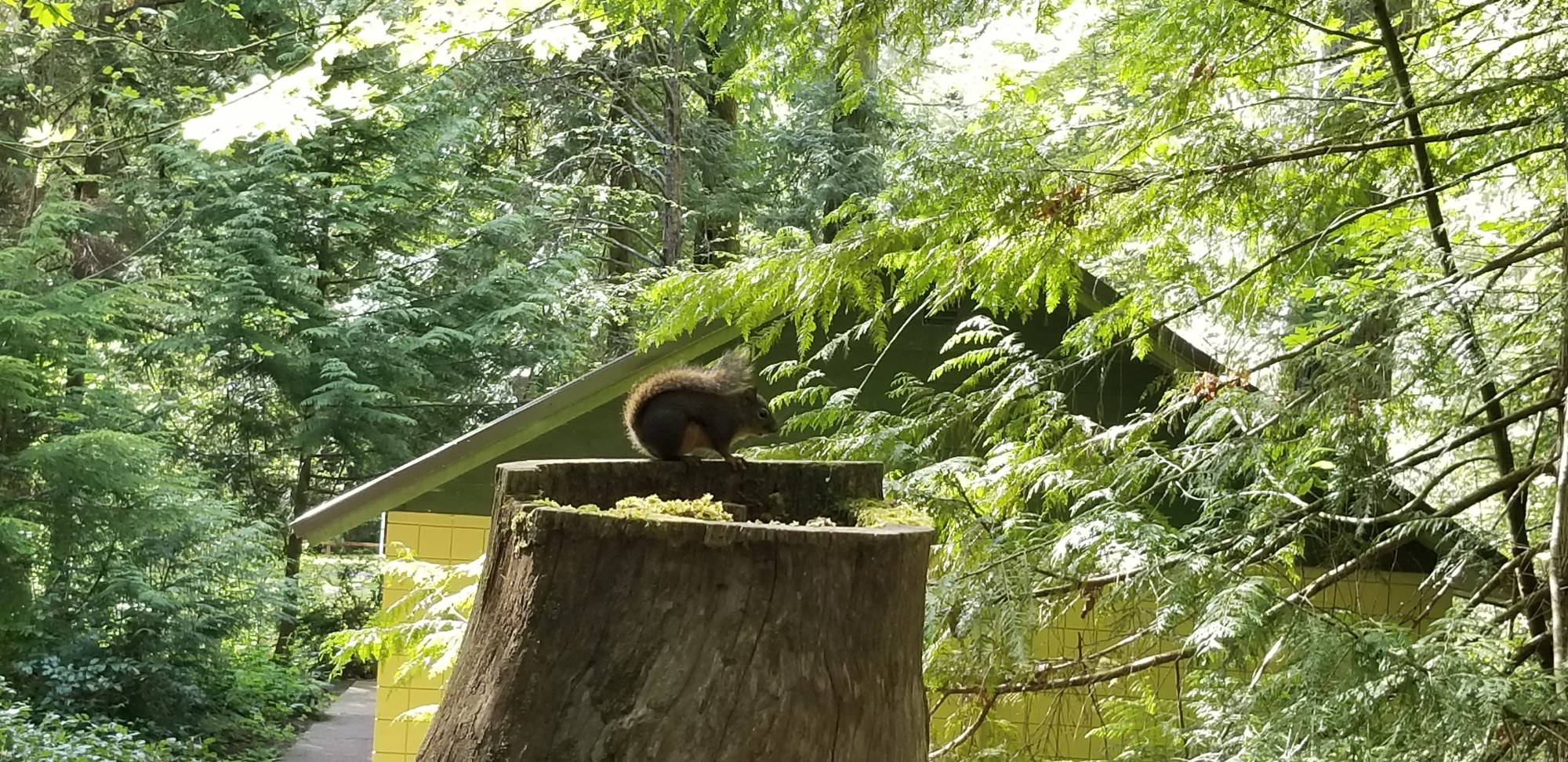 Illahee State Park — The Mountaineers